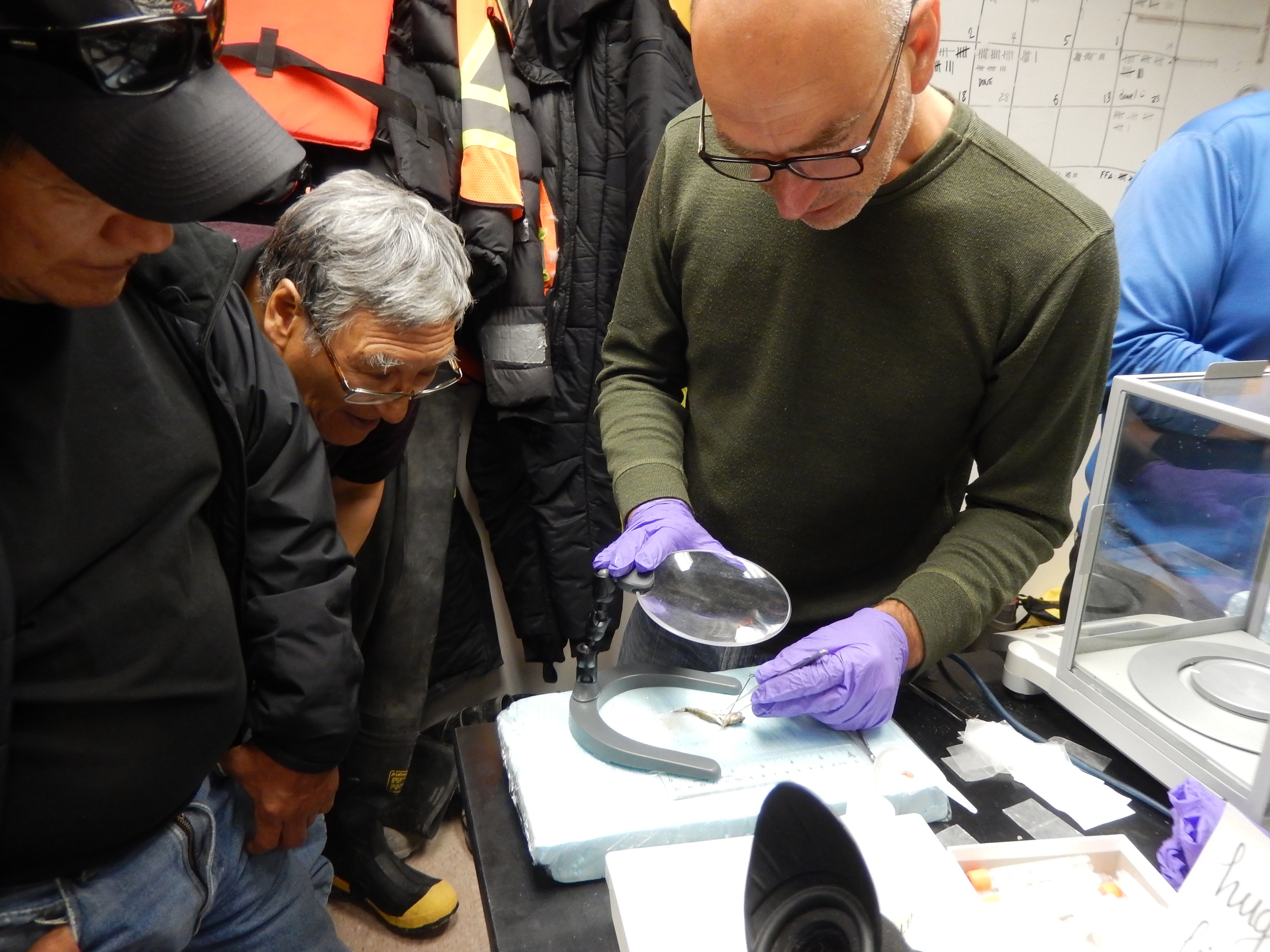 Image Galleries | EMAB