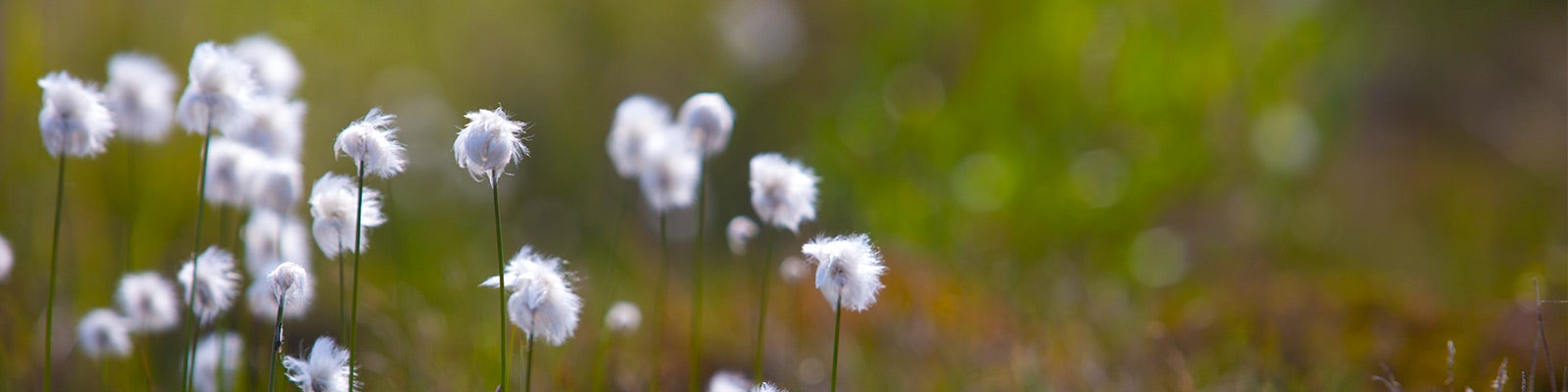 News | EMAB